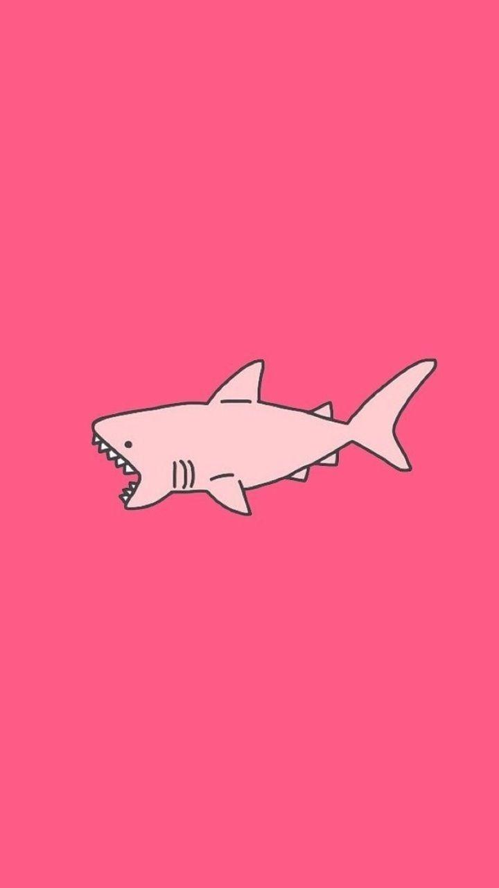 Pink Shark Wallpapers - Top Free Pink Shark Backgrounds - WallpaperAccess