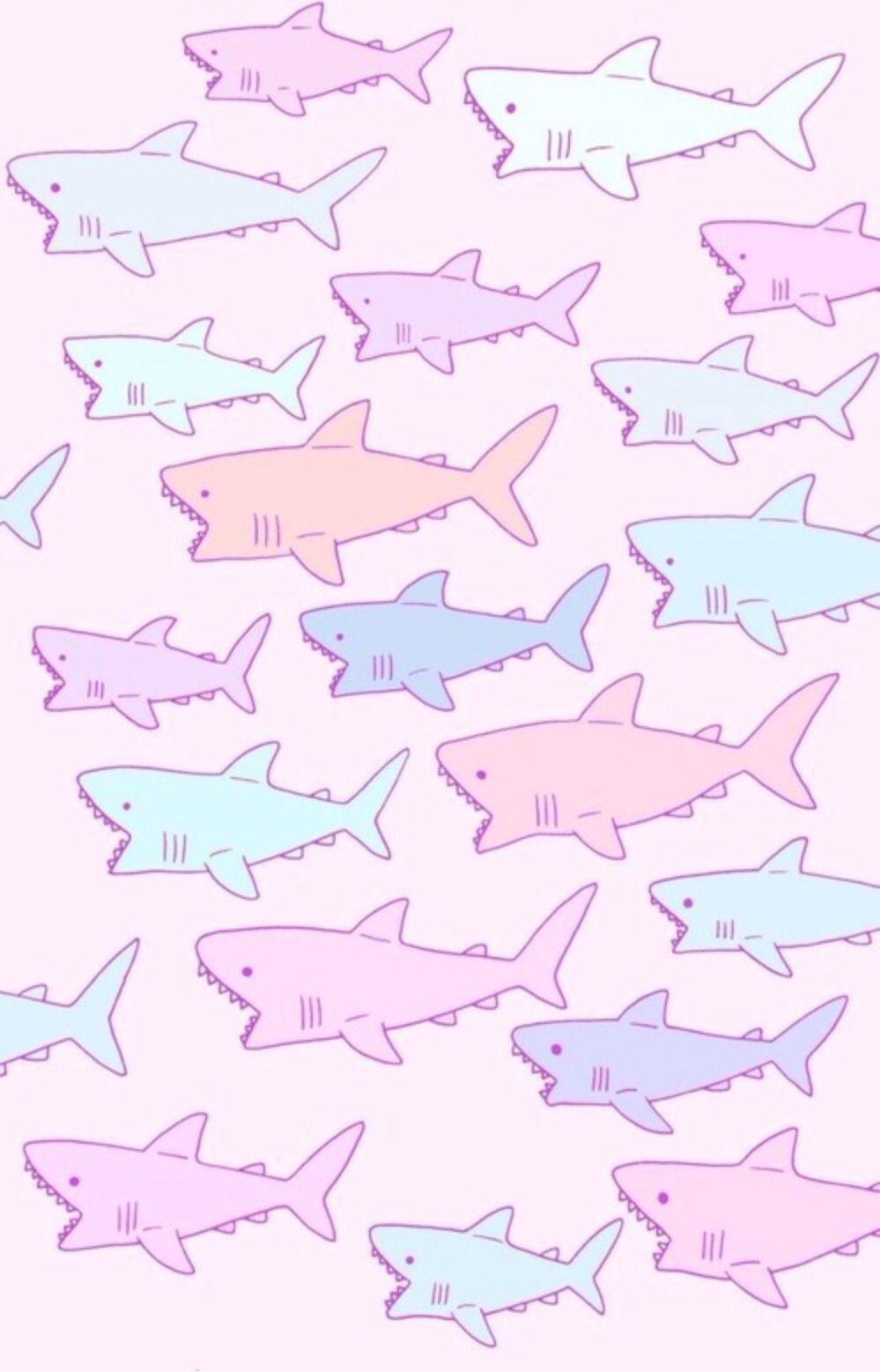 Pink Shark Wallpapers - Top Free Pink Shark Backgrounds - WallpaperAccess
