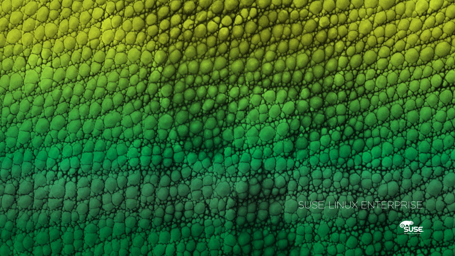 Suse Linux Wallpapers - Top Free Suse Linux Backgrounds - WallpaperAccess