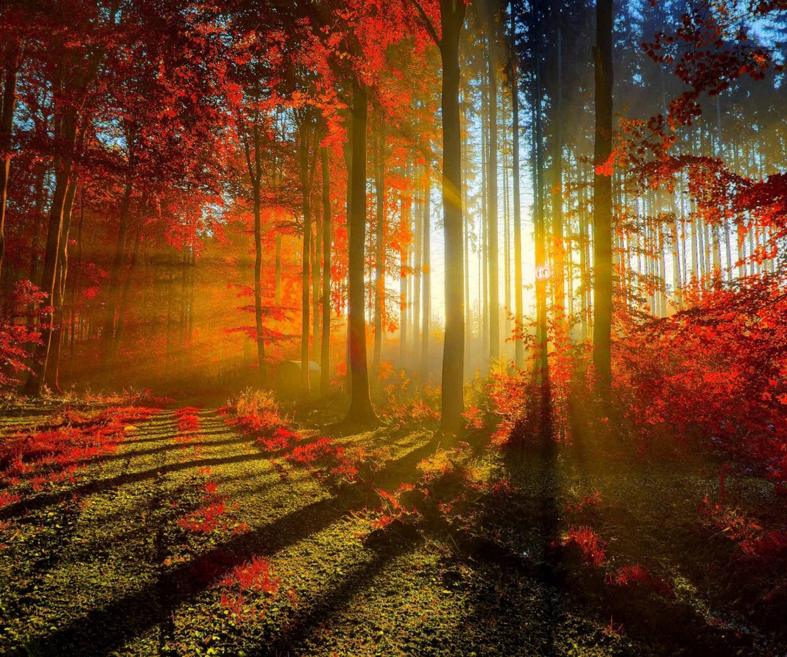 Autumn Sunrise Wallpapers - Top Free Autumn Sunrise Backgrounds ...