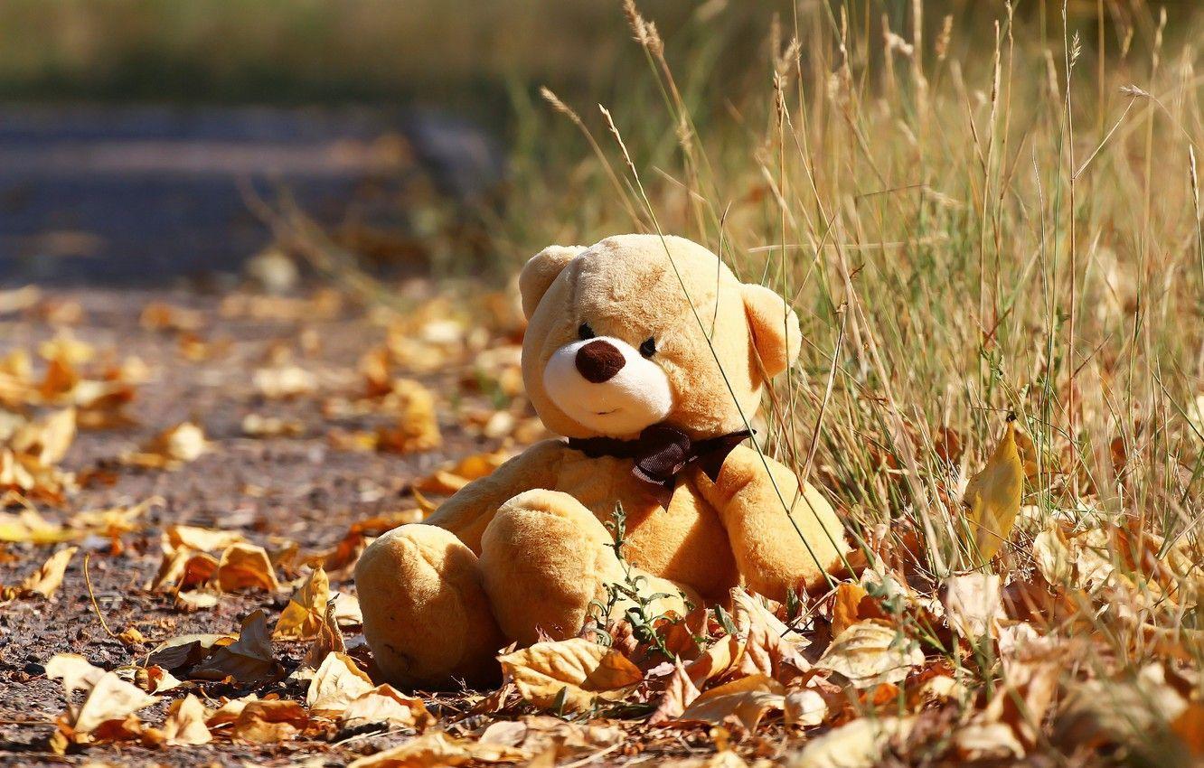 Autumn Bear Wallpapers - Top Free Autumn Bear Backgrounds - WallpaperAccess