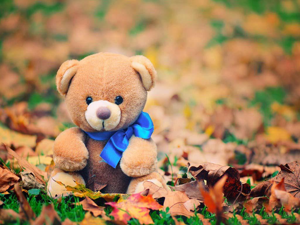 Autumn Bear Wallpapers - Top Free Autumn Bear Backgrounds - WallpaperAccess