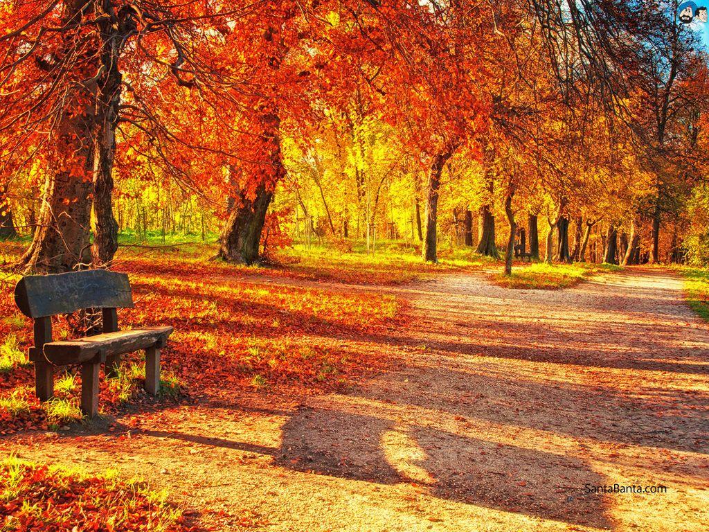 Autumn Sunrise Wallpapers - Top Free Autumn Sunrise Backgrounds ...