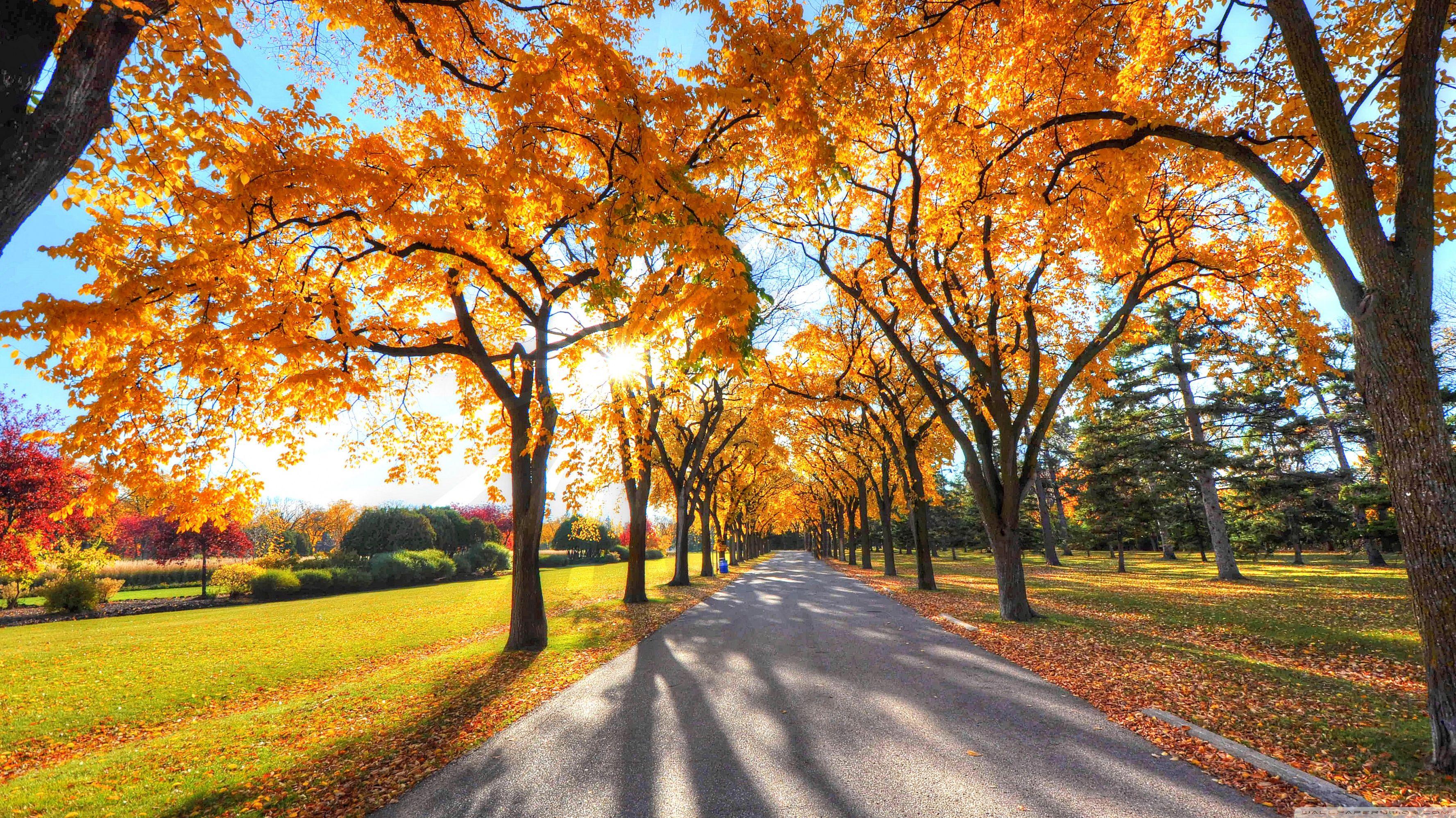 Autumn Sunrise Wallpapers - Top Free Autumn Sunrise Backgrounds ...