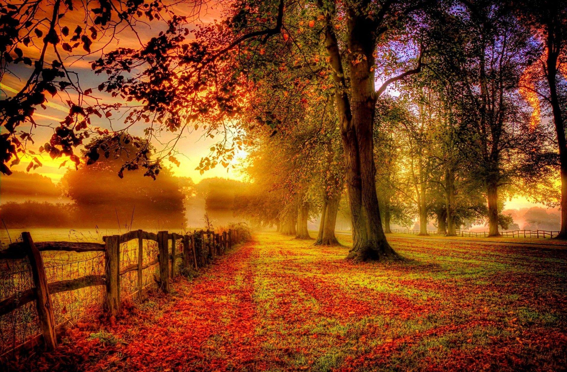 Autumn Sunrise Wallpapers - Top Free Autumn Sunrise Backgrounds ...