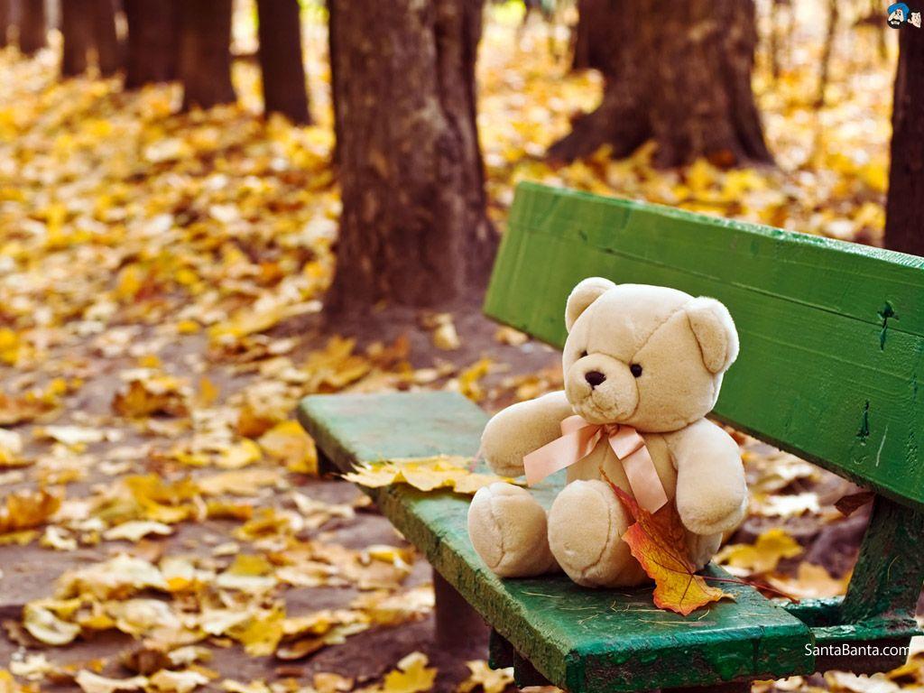 Autumn Bear Wallpapers - Top Free Autumn Bear Backgrounds - WallpaperAccess