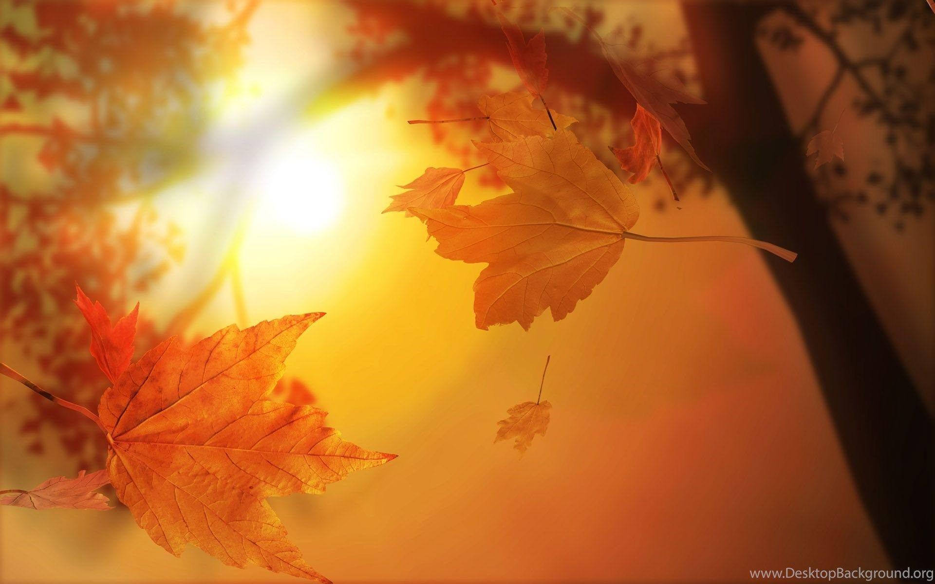 Autumn Sunrise Wallpapers - Top Free Autumn Sunrise Backgrounds ...