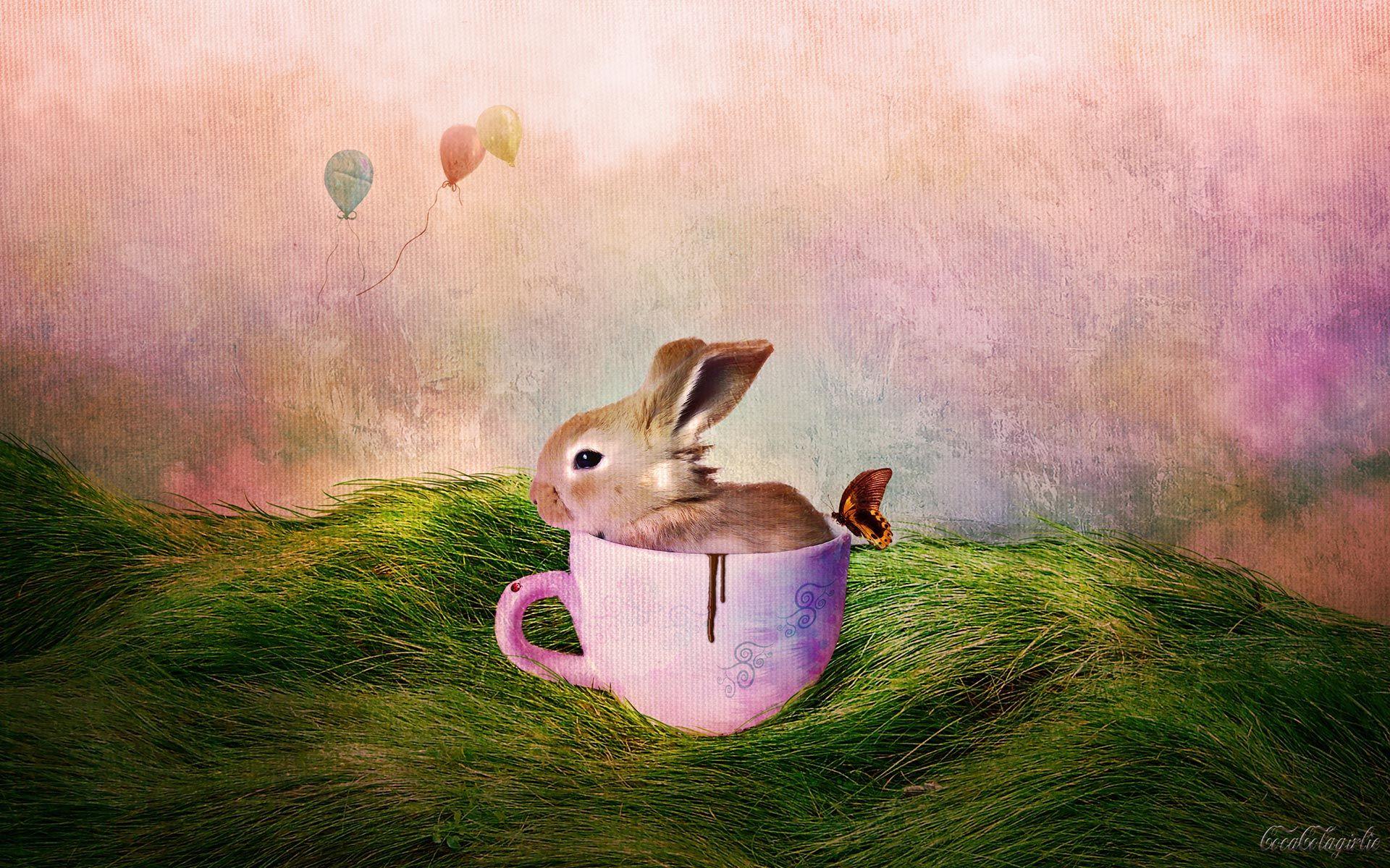 Bunny Desktop Wallpapers - Top Free Bunny Desktop Backgrounds ...