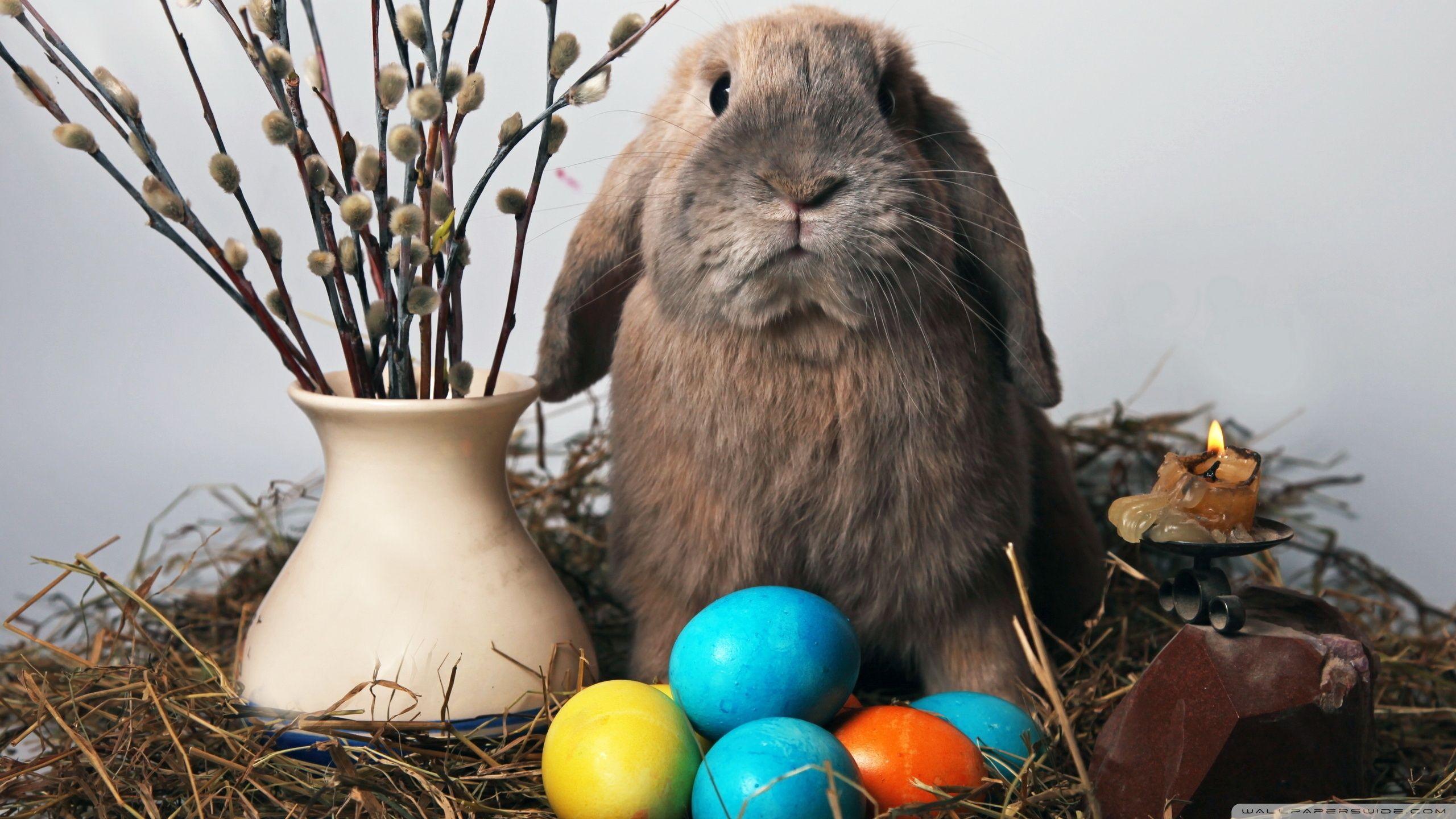 Cute Easter Computer Wallpapers - Top Free Cute Easter Computer ...