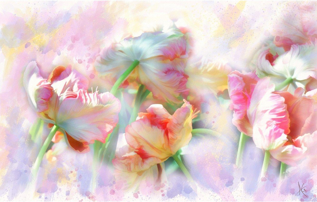 Pastel Tulips Wallpapers - Top Free Pastel Tulips Backgrounds ...
