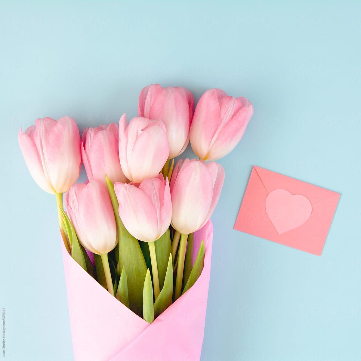 Pastel Tulips Wallpapers - Top Free Pastel Tulips Backgrounds ...