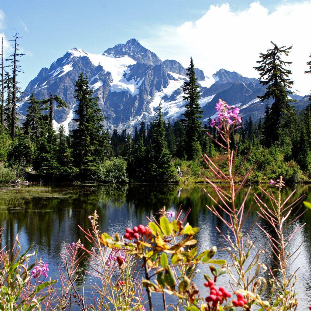 1024X1024 Wallpapers - Top Free 1024X1024 Backgrounds - WallpaperAccess