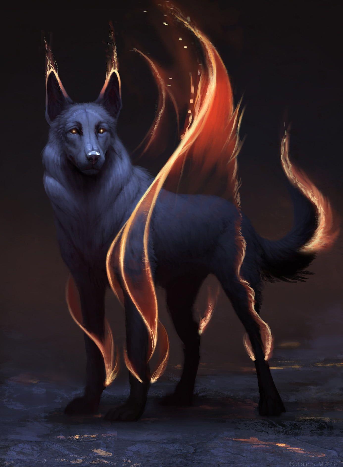 Fire Wolf HD Wallpapers - Top Free Fire Wolf HD Backgrounds ...