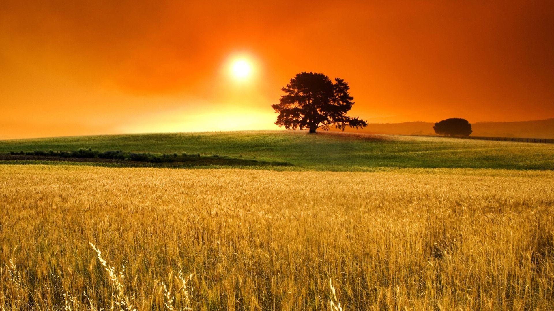 Nice Desktop Wallpapers - Top Free Nice Desktop Backgrounds ...