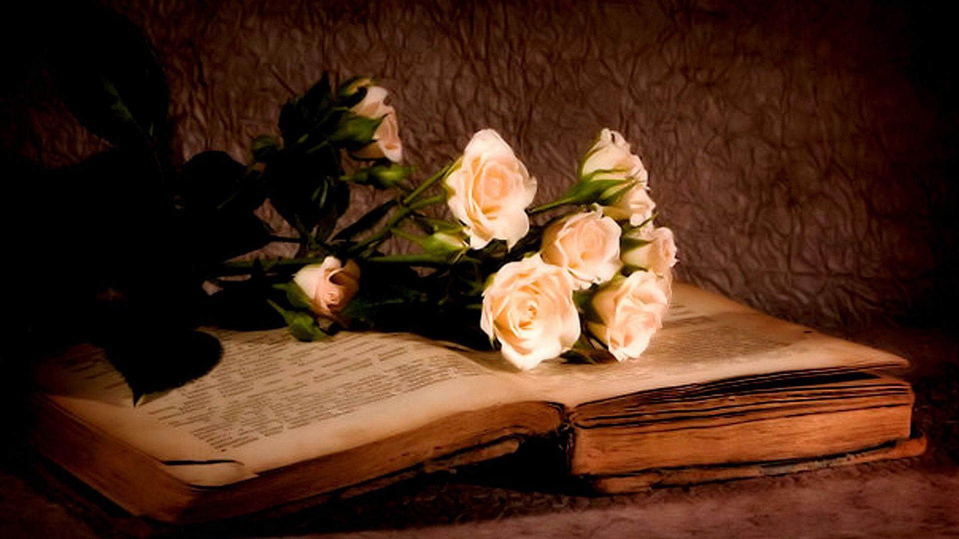 Sensitive Wallpapers - Top Free Sensitive Backgrounds - WallpaperAccess