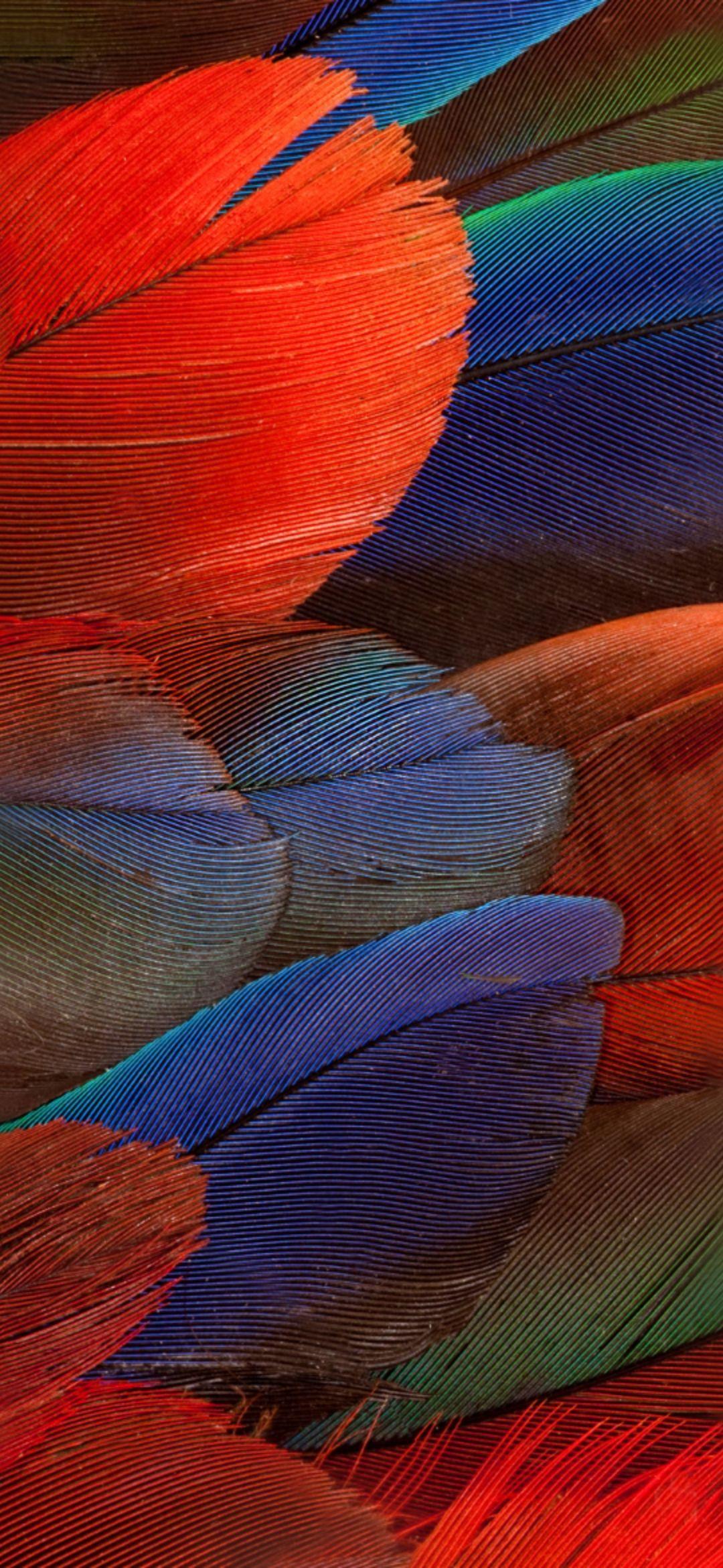 Huawei Mate Wallpapers - Top Free Huawei Mate Backgrounds - WallpaperAccess