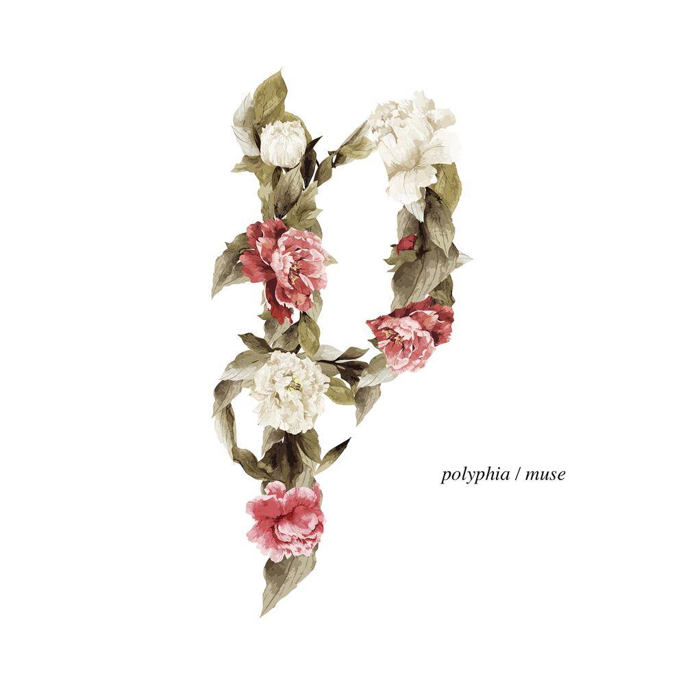 Polyphia Wallpapers - Top Free Polyphia Backgrounds - WallpaperAccess