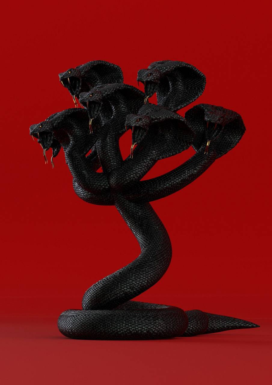 Polyphia Wallpapers - Top Free Polyphia Backgrounds - WallpaperAccess