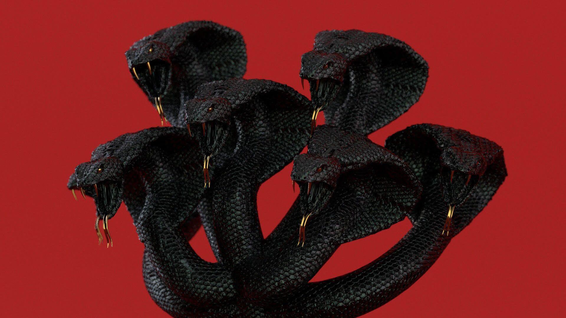 Polyphia Wallpapers - Top Free Polyphia Backgrounds - WallpaperAccess