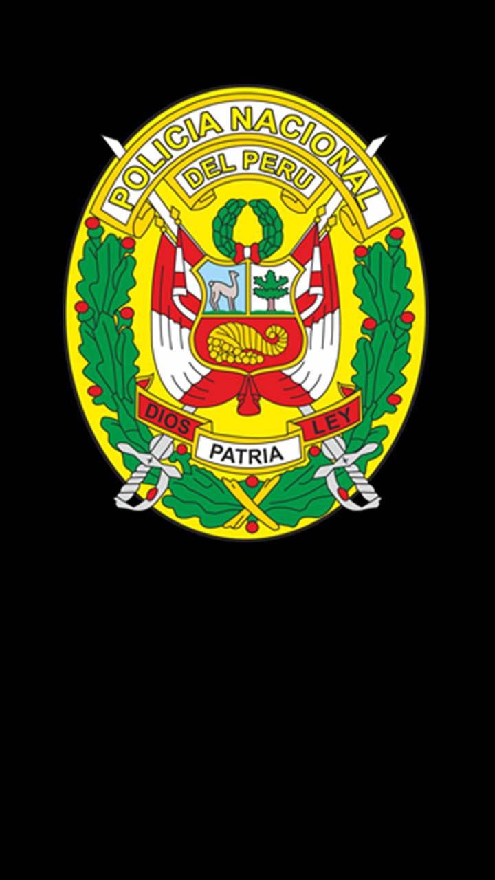 PNP Wallpapers - Top Free PNP Backgrounds - WallpaperAccess