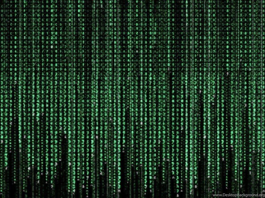 PNP Wallpapers - Top Free PNP Backgrounds - WallpaperAccess