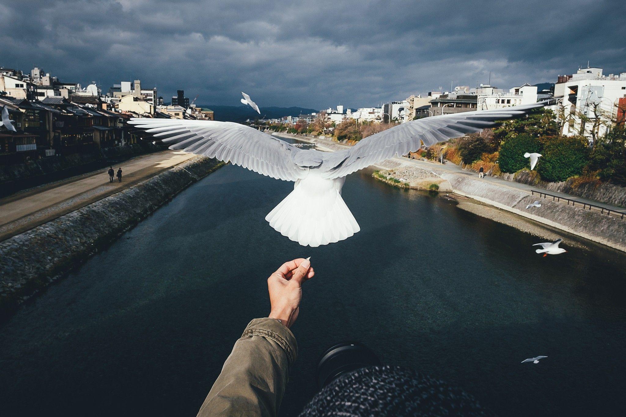 Freedom Wallpapers - Top Free Freedom Backgrounds - WallpaperAccess