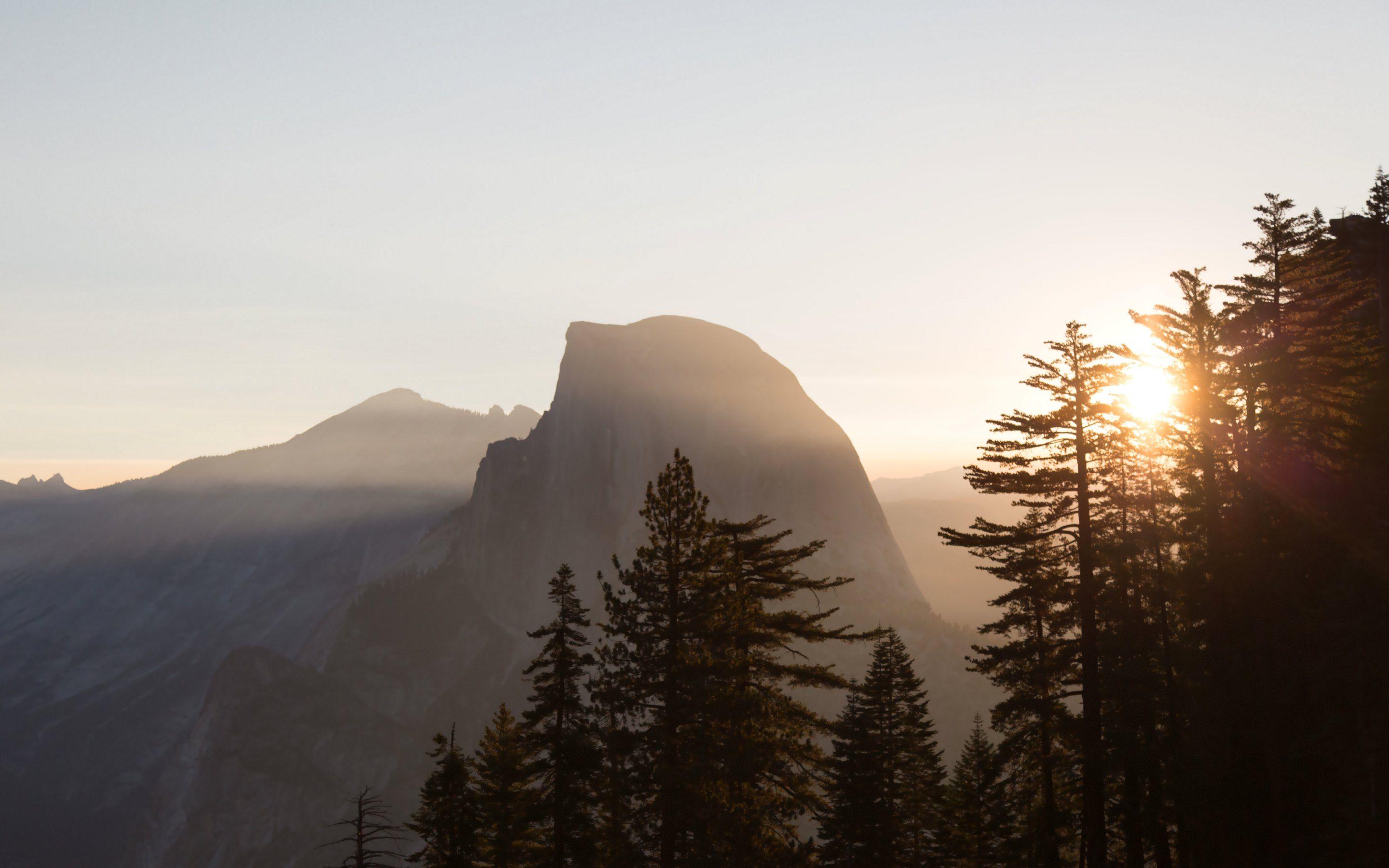 Freedom Wallpapers - Top Free Freedom Backgrounds - WallpaperAccess