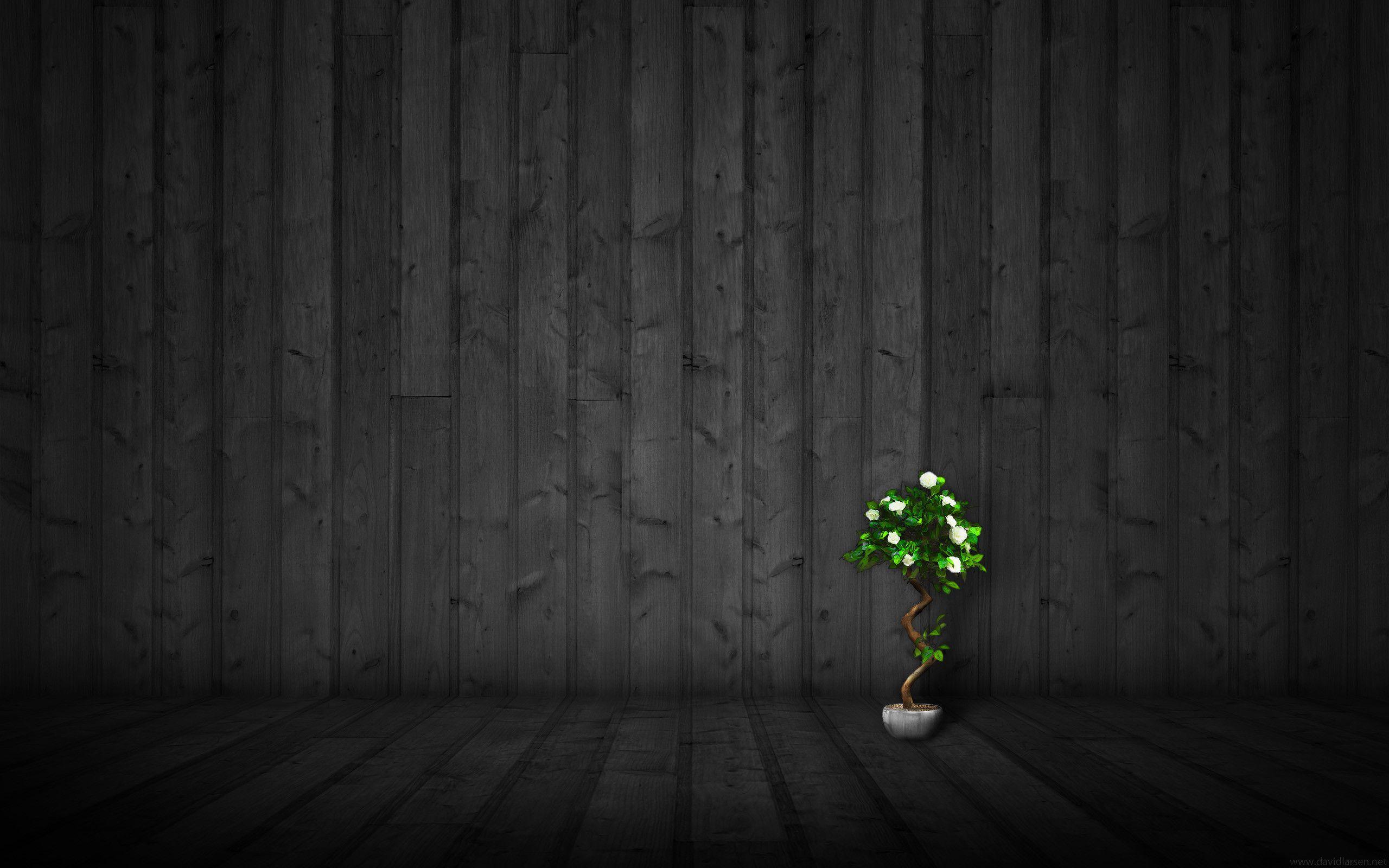 2560 X 1600 HD Wallpapers - Top Free 2560 X 1600 HD Backgrounds ...