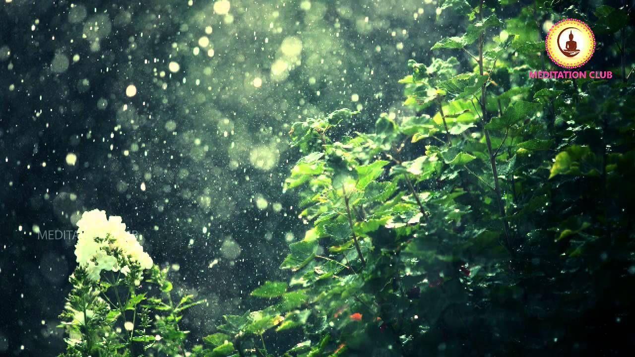 Relaxing Rain Wallpapers - Top Free Relaxing Rain Backgrounds ...