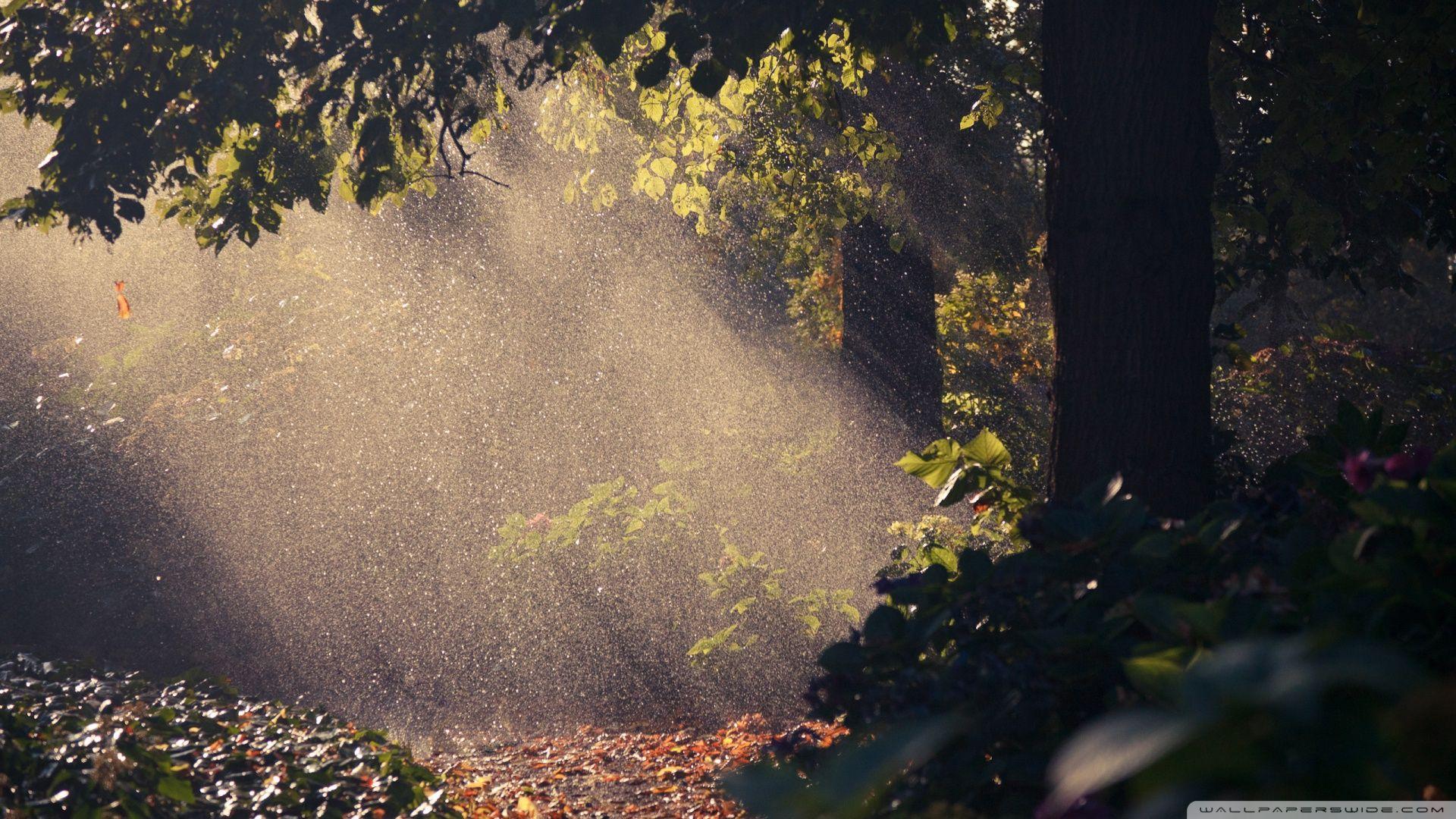 Relaxing Rain Wallpapers - Top Free Relaxing Rain Backgrounds ...