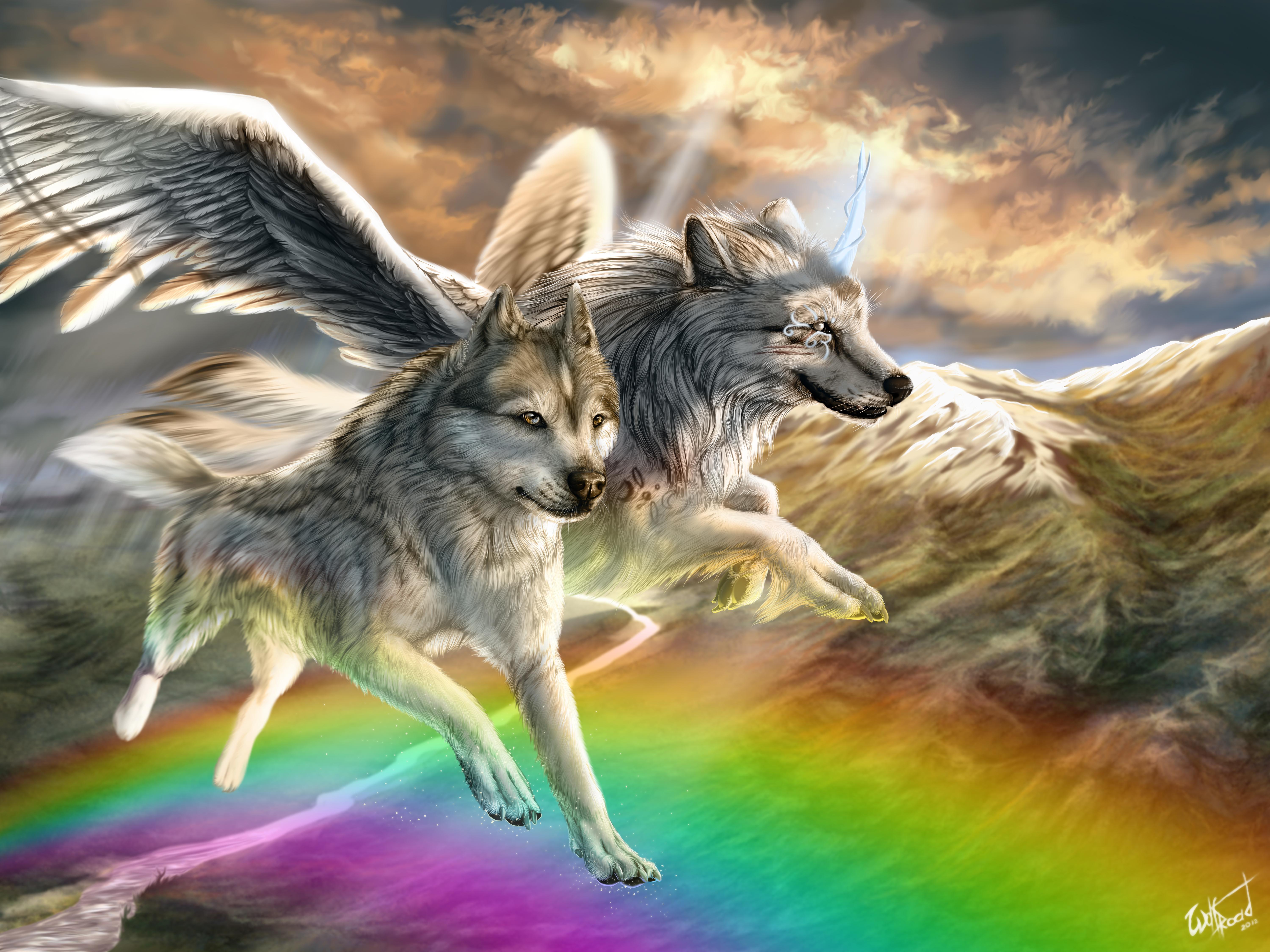 Flying Wolf Wallpapers - Top Free Flying Wolf Backgrounds - WallpaperAccess