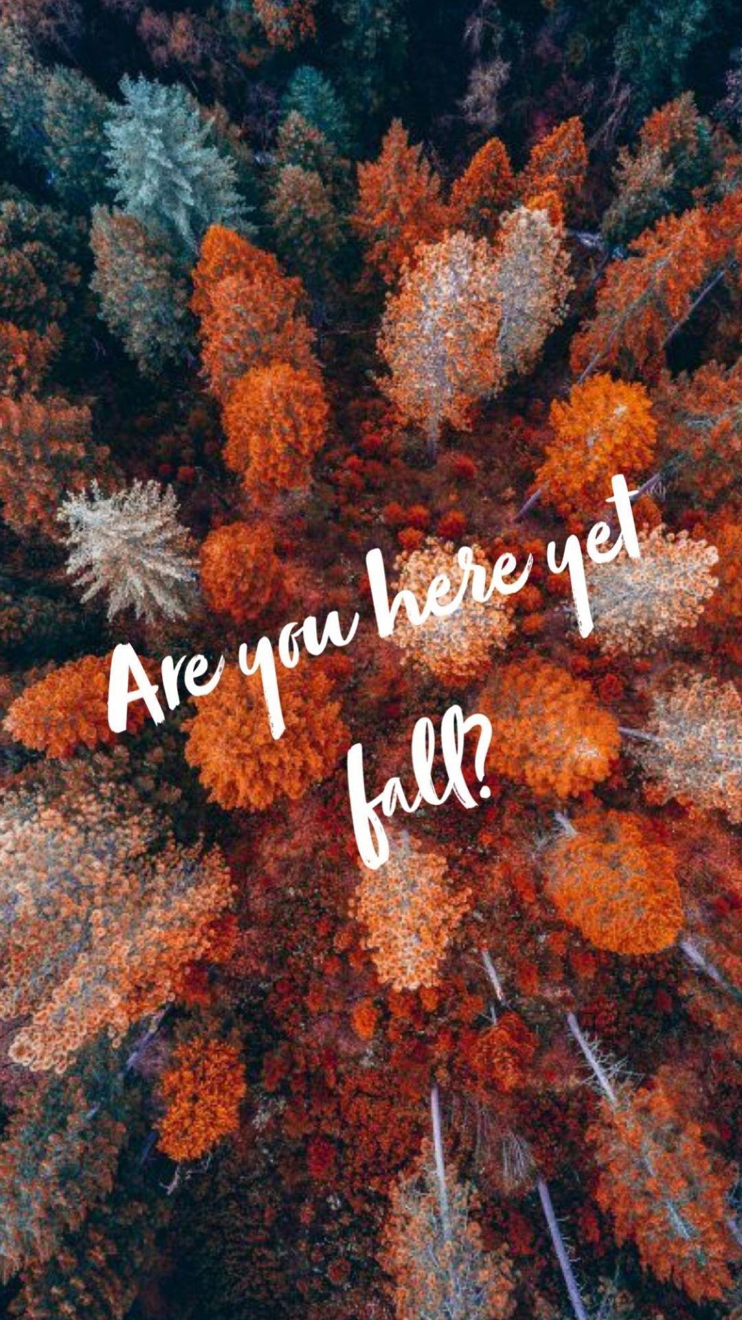 Hello Fall Laptop Wallpapers - Top Free Hello Fall Laptop Backgrounds ...