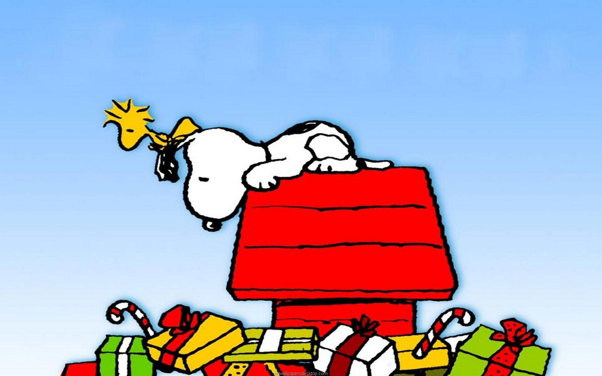 Snoopy Summer Wallpapers - Top Free Snoopy Summer Backgrounds ...