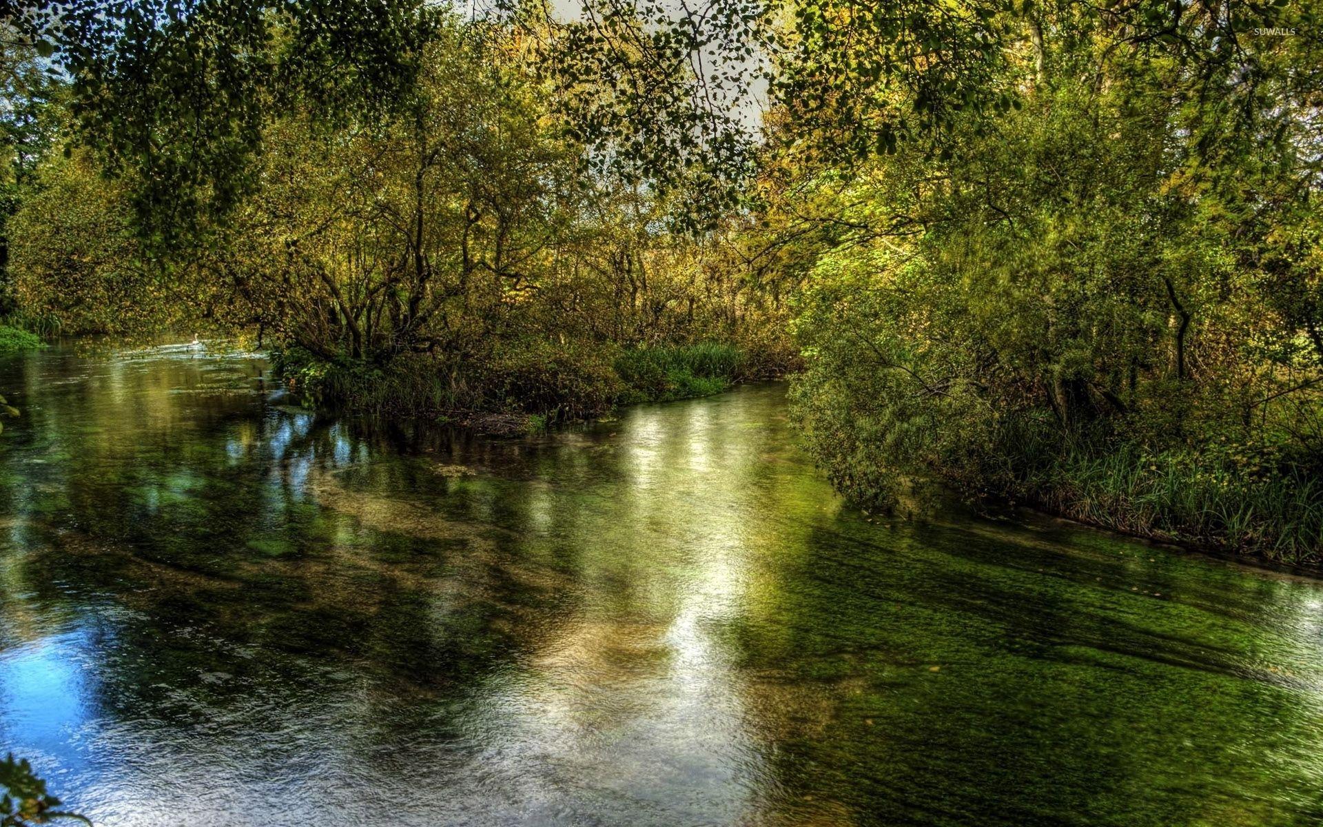 Clear Forest Wallpapers - Top Free Clear Forest Backgrounds ...