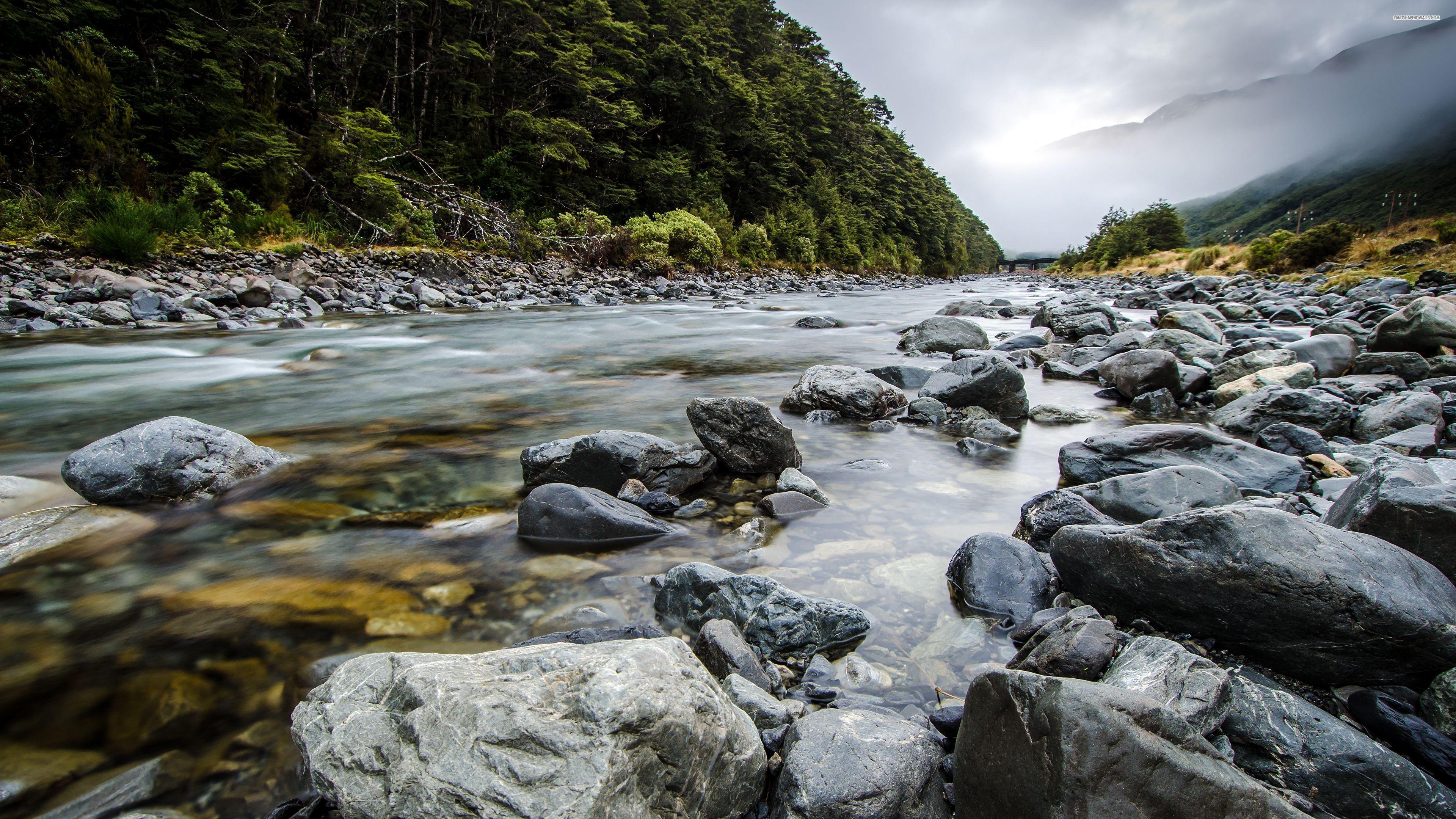 Clear Forest Wallpapers - Top Free Clear Forest Backgrounds ...