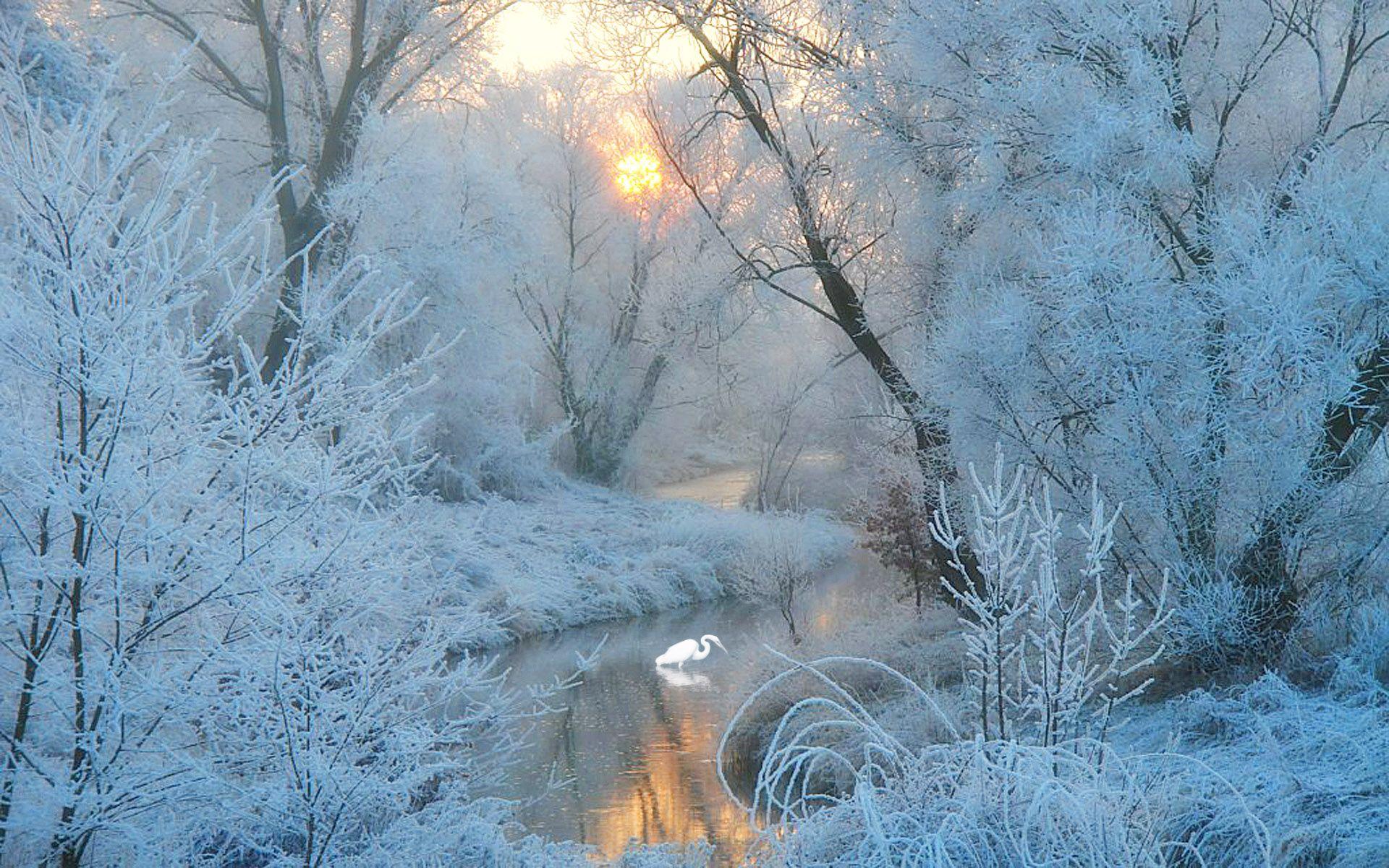 Frosty Winter Wallpapers - Top Free Frosty Winter Backgrounds ...
