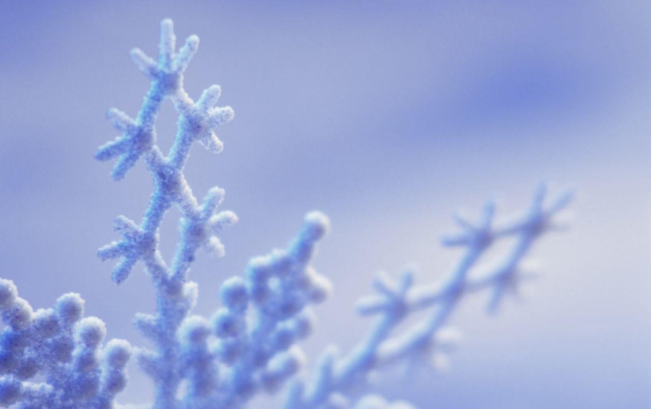 Frosty Winter Wallpapers - Top Free Frosty Winter Backgrounds ...