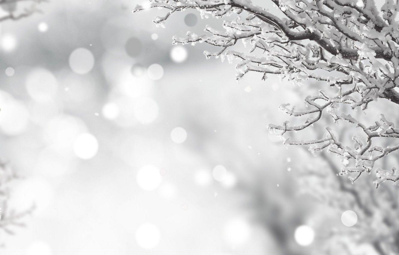Black and White Winter Desktop Wallpapers - Top Free Black and White ...