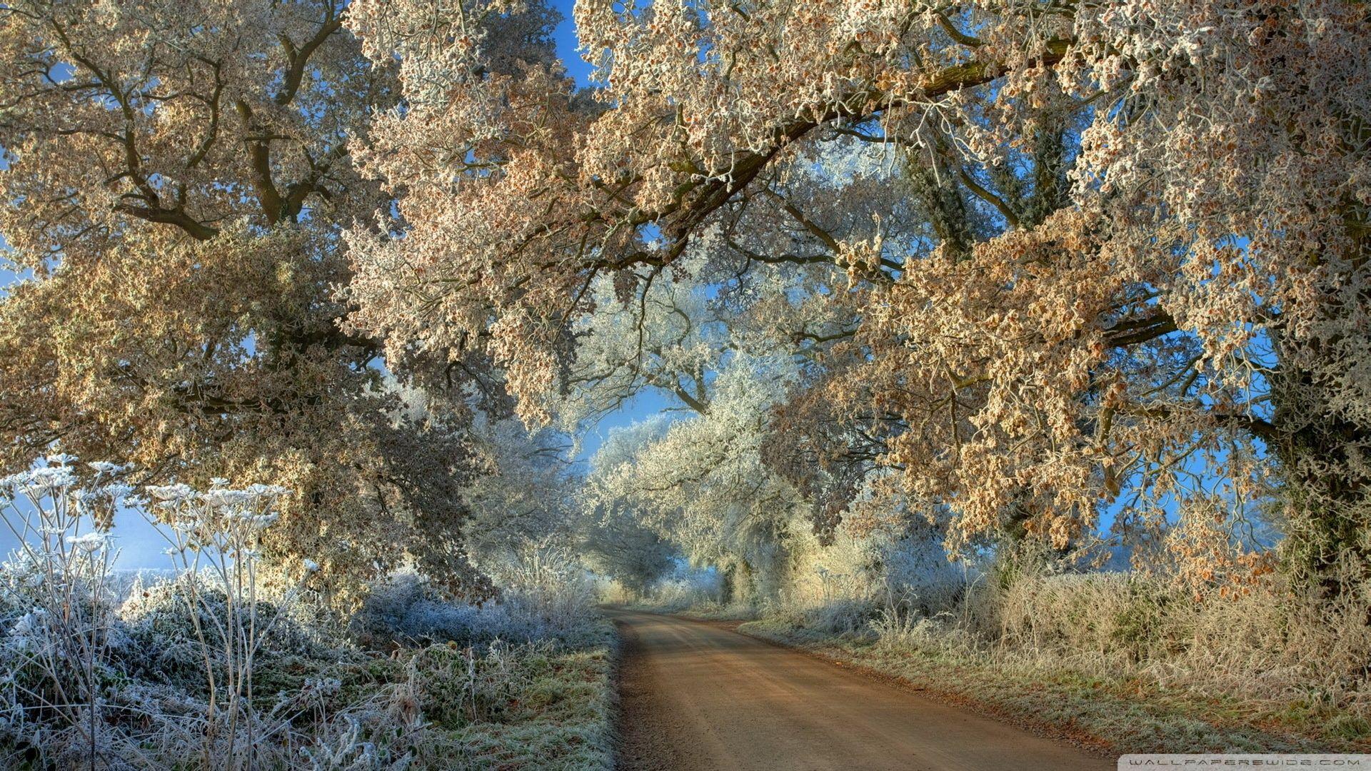 Frosty Winter Wallpapers - Top Free Frosty Winter Backgrounds ...