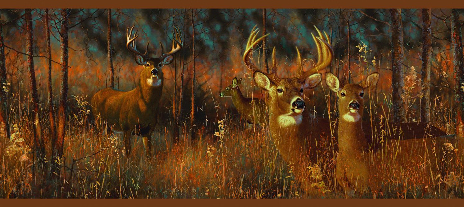 Whitetail Deer Wallpapers - Top Free Whitetail Deer Backgrounds ...