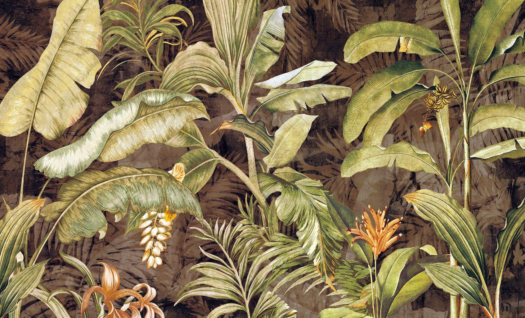 Retro Tropical Wallpapers - Top Free Retro Tropical Backgrounds ...