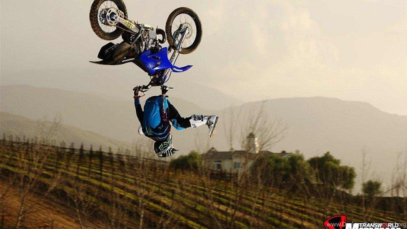 FMX Wallpapers - Top Free FMX Backgrounds - WallpaperAccess