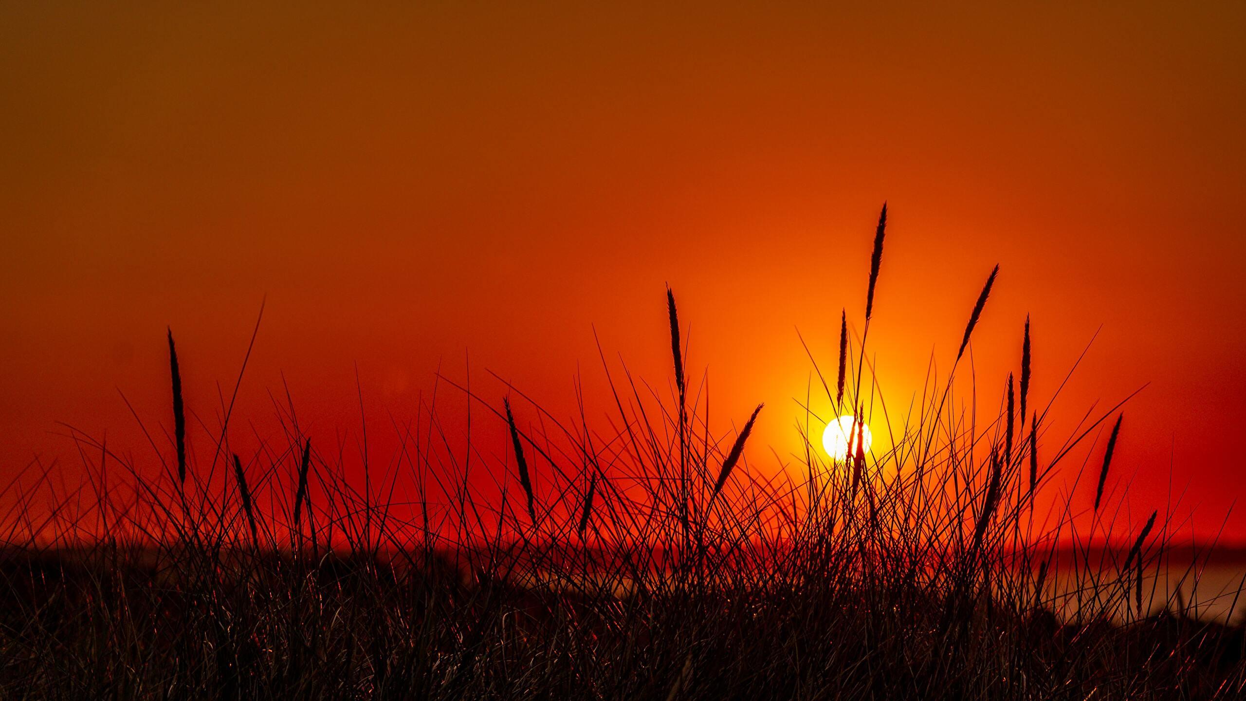 Sunrise Laptop Wallpapers - Top Free Sunrise Laptop Backgrounds ...