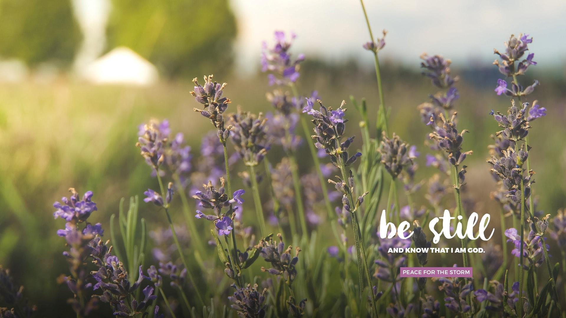 Be Still Wallpapers - Top Free Be Still Backgrounds - WallpaperAccess