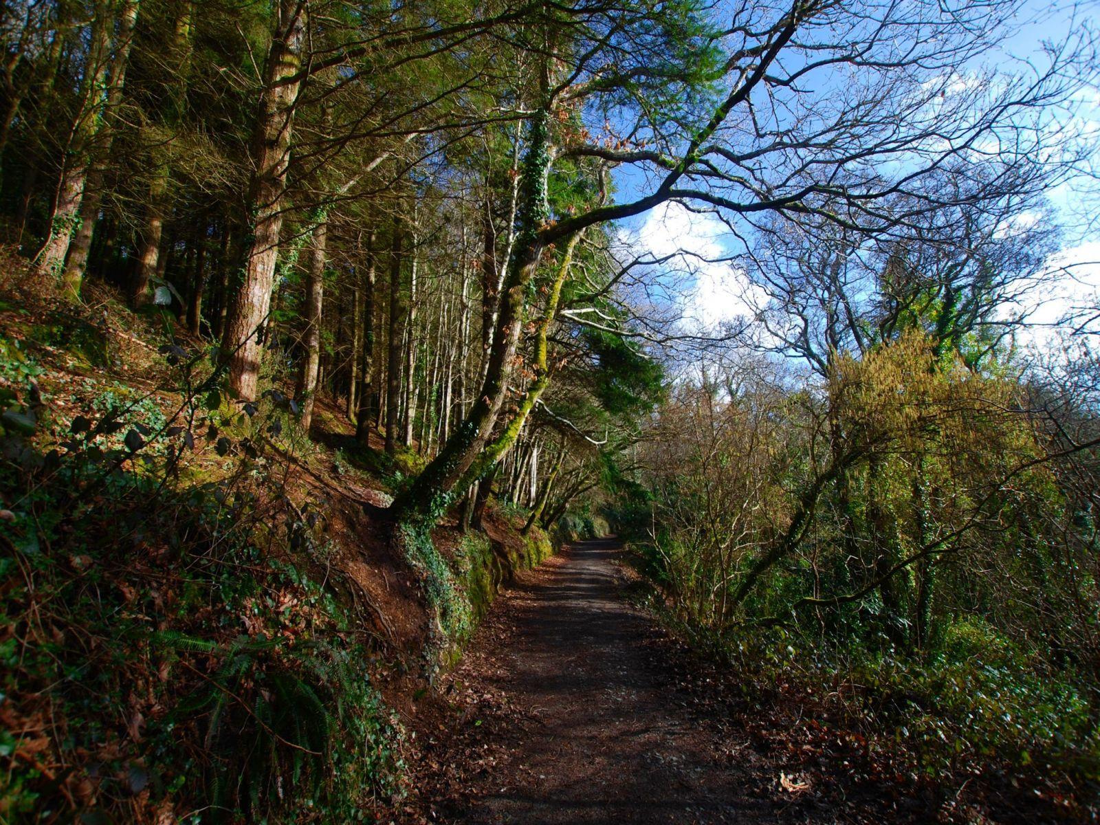 Spring Morning Wallpapers - Top Free Spring Morning Backgrounds ...