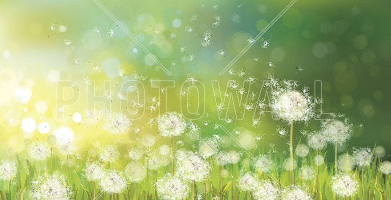 Spring Morning Wallpapers - Top Free Spring Morning Backgrounds ...