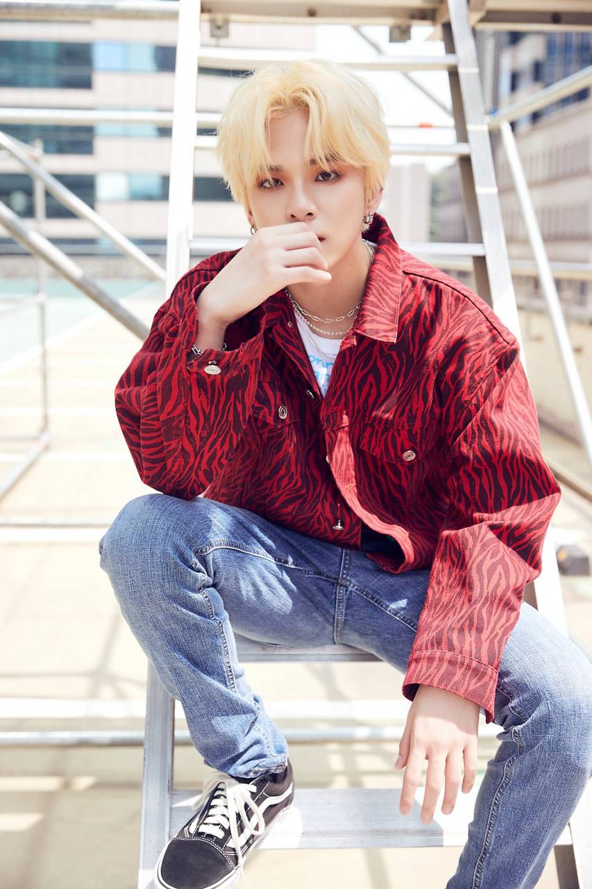 Asahi Wallpapers - Top Free Asahi Backgrounds - WallpaperAccess