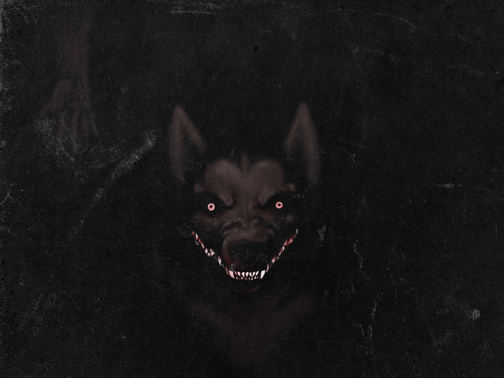 Smile dog Wallpapers - Top Free Smile dog Backgrounds - WallpaperAccess