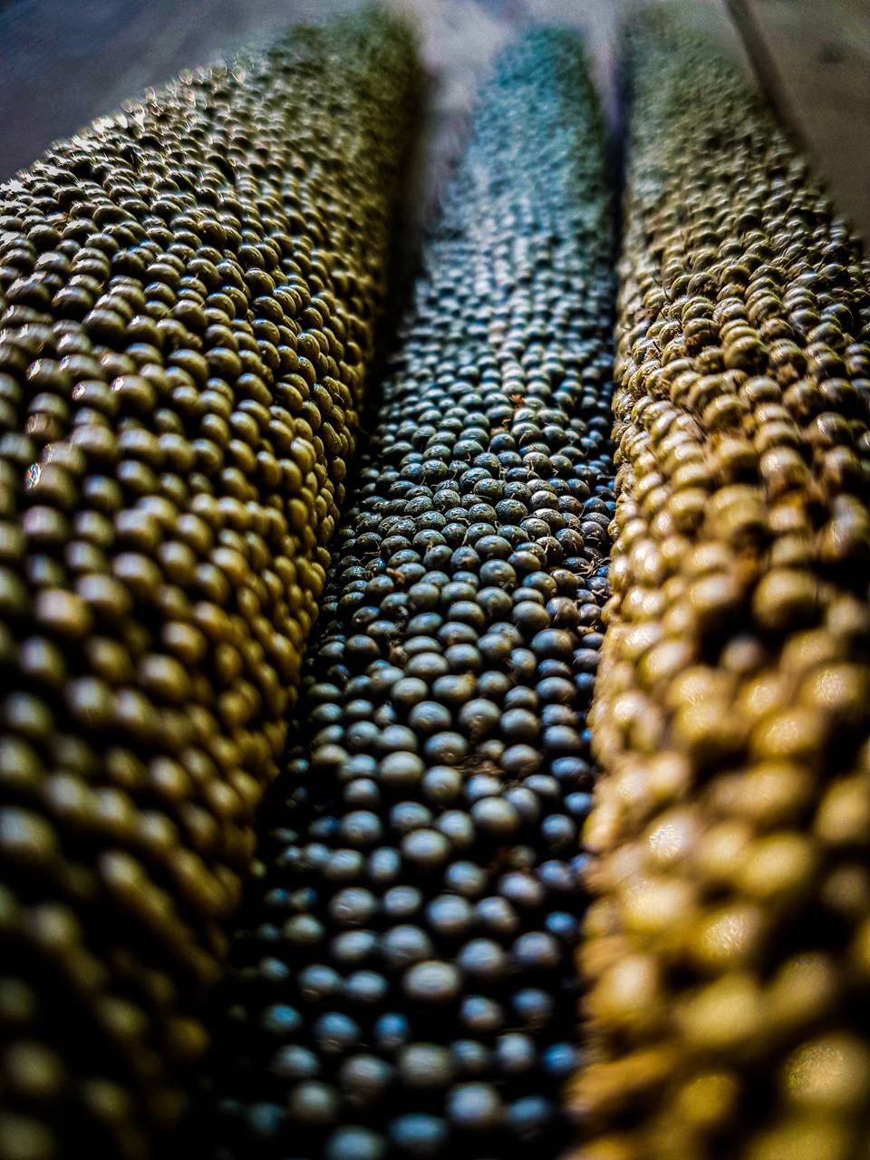 Millet Wallpapers - Top Free Millet Backgrounds - WallpaperAccess