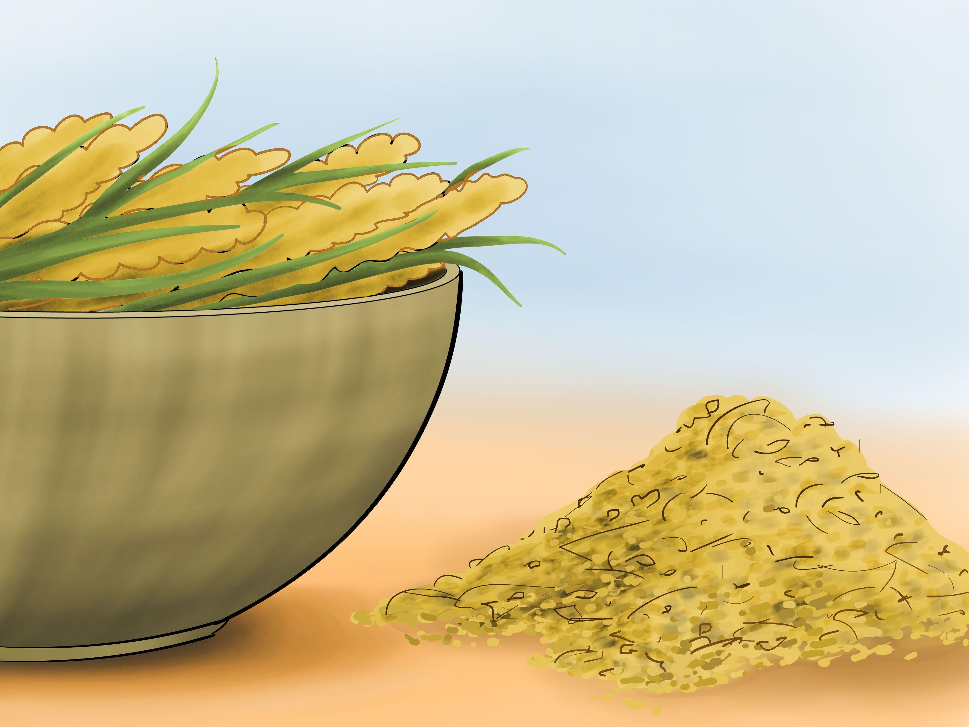 Millet Wallpapers - Top Free Millet Backgrounds - WallpaperAccess